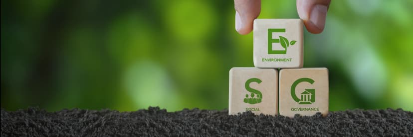 Climate Advisory Services | ProClime Sustainability Experts