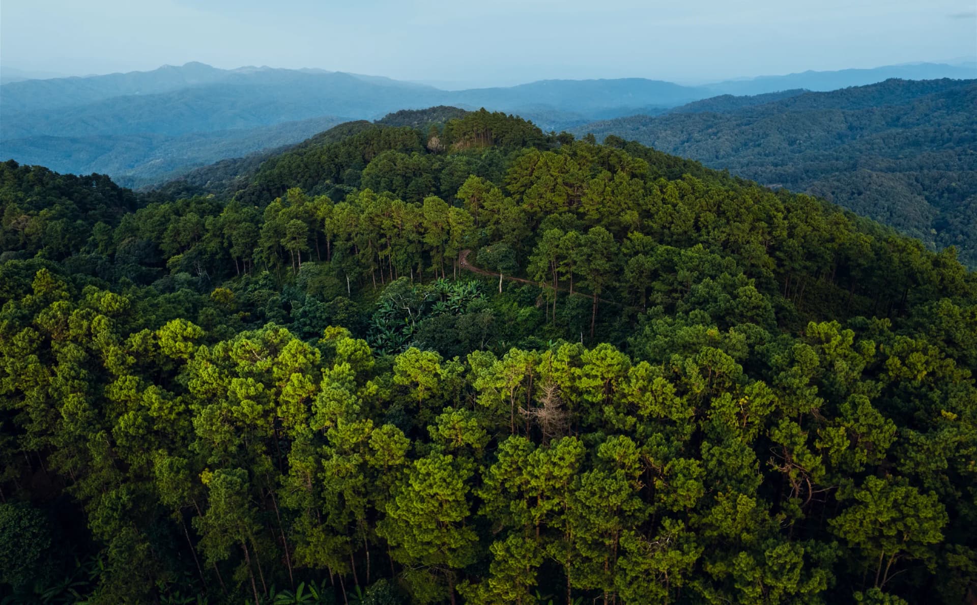 About Proclime | Sustainable Cooling & Green Innovation